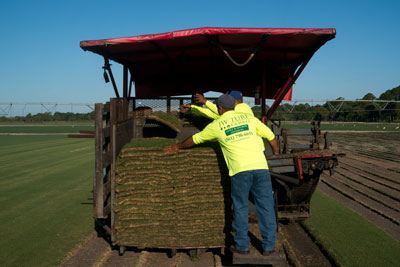 Sod-Field-work-1-400px - JW Turf FarmsJW Turf Farms