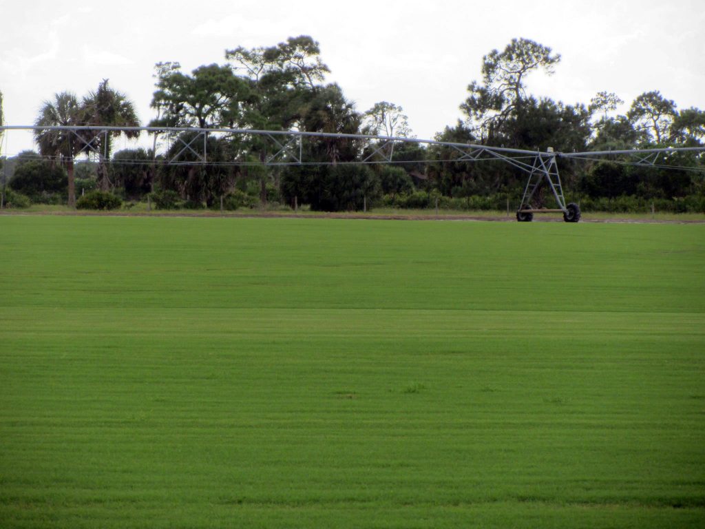 JW Turf Farms Green Field - JW Turf FarmsJW Turf Farms